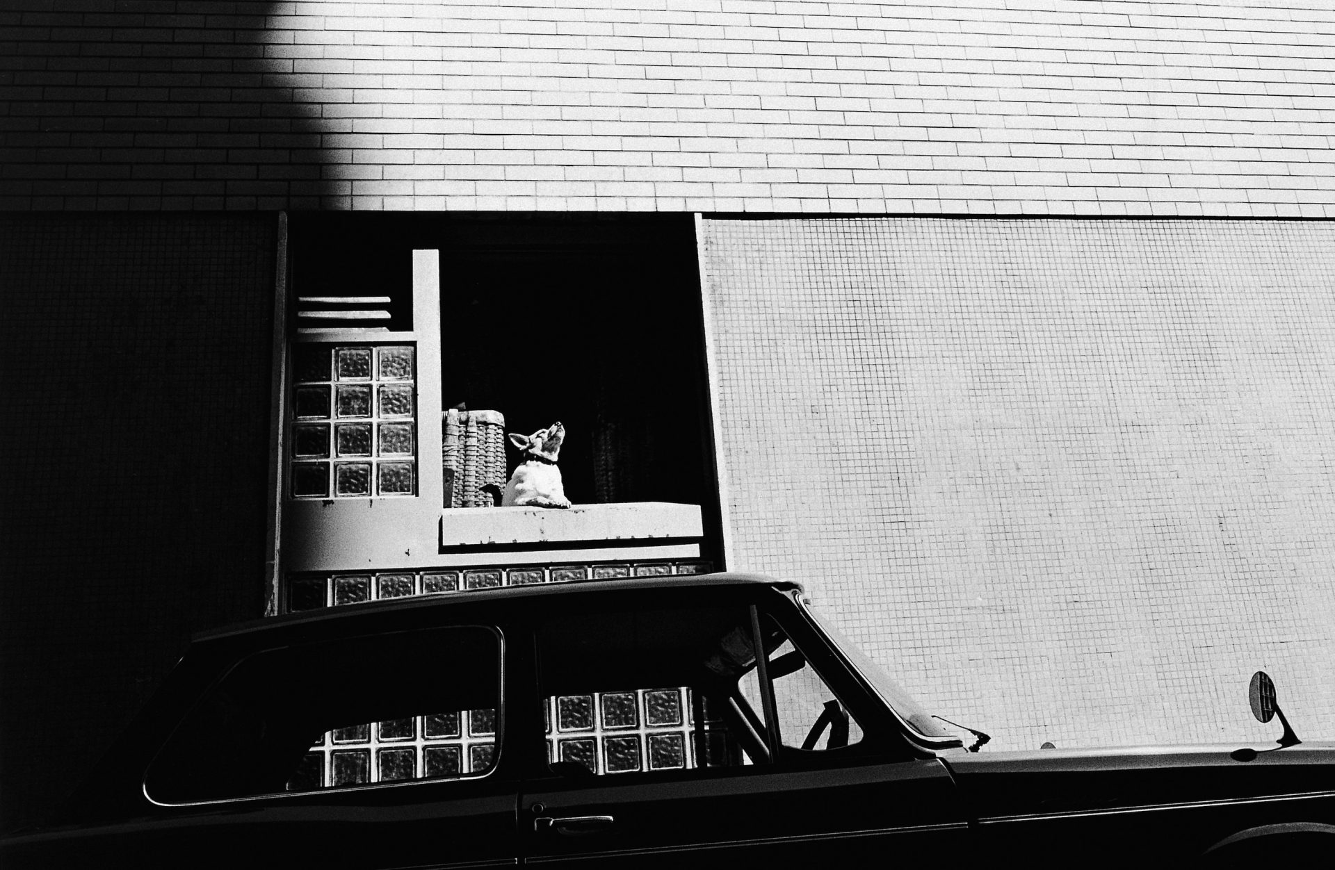 Shigeo Gocho Exhibition | EXHIBITIONS | Itami City Museum of Art ...