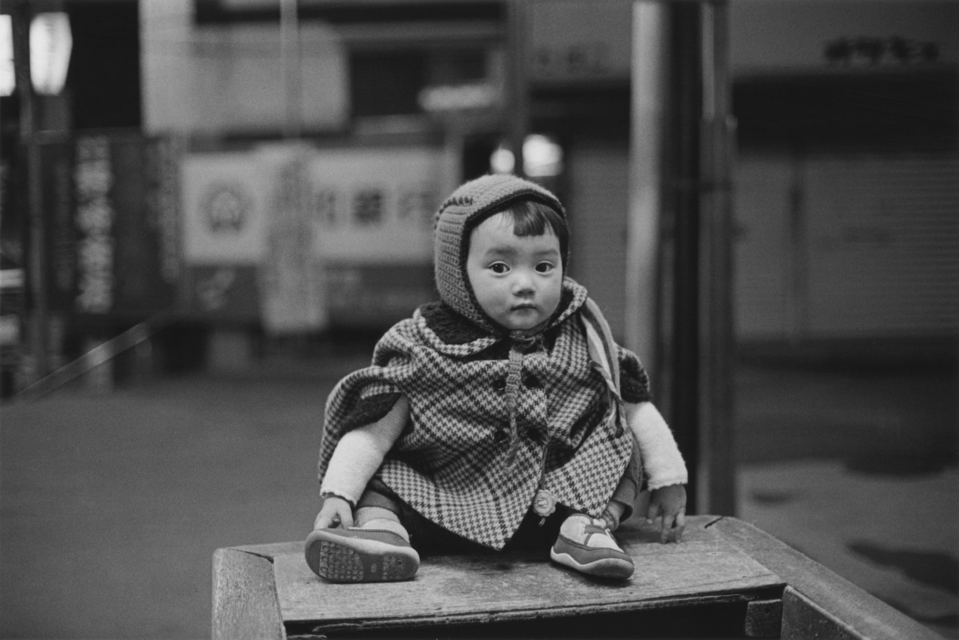 Shigeo Gocho Exhibition | EXHIBITIONS | Itami City Museum of Art ...